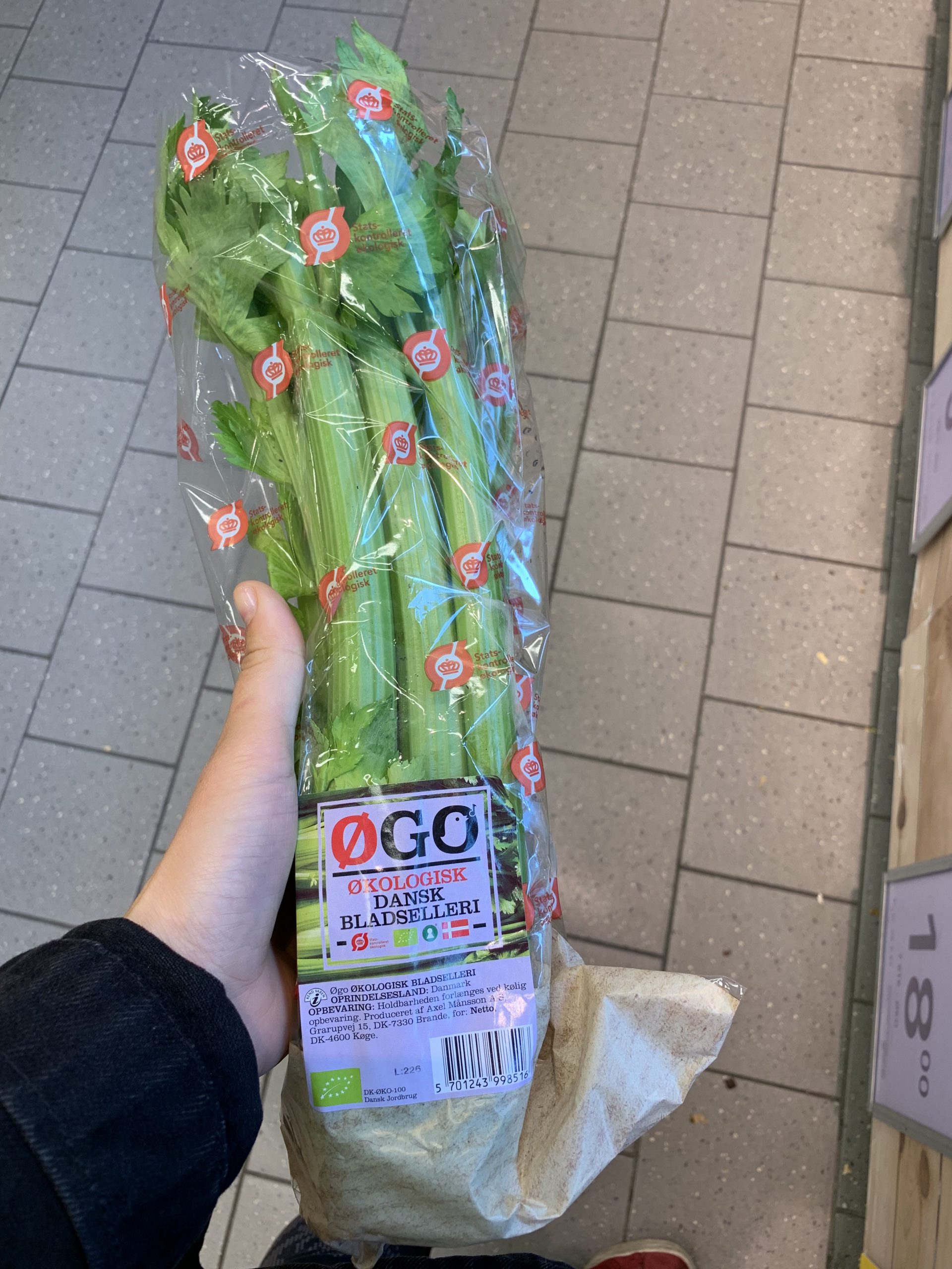 Er selleri speciel sundt? - Arndal Spa